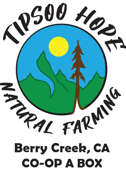 Hope Farm Logo Hope Farms (@hope_farms_greenhouse) • Instagram